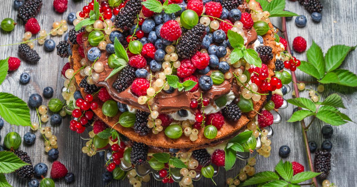 Šumsko voće - čarolija koja osvaja sva osjetila - Miss7.24sata.hr